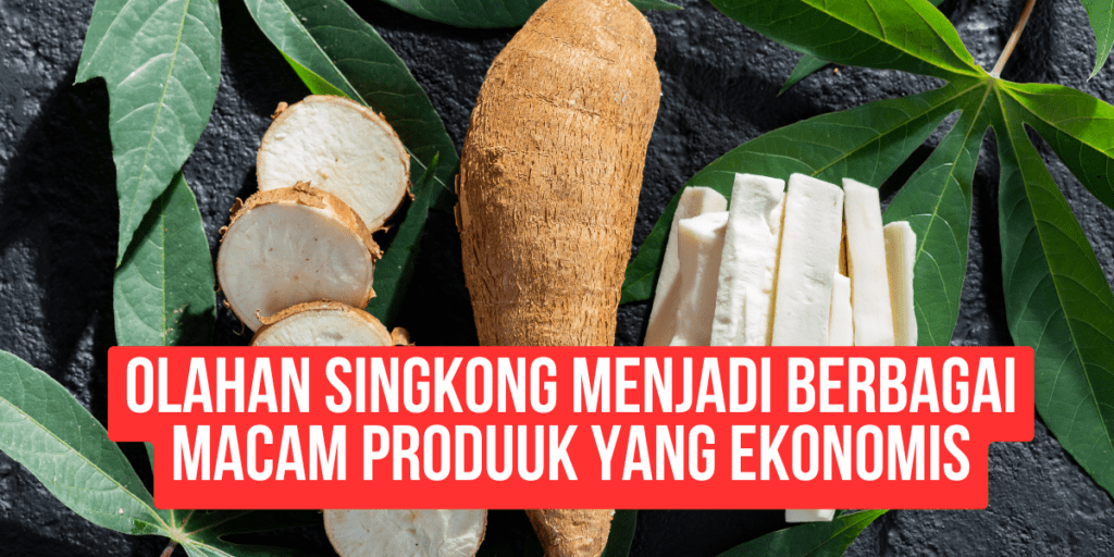 Inovasi Olahan Singkong: Kreasi Tanpa Batas